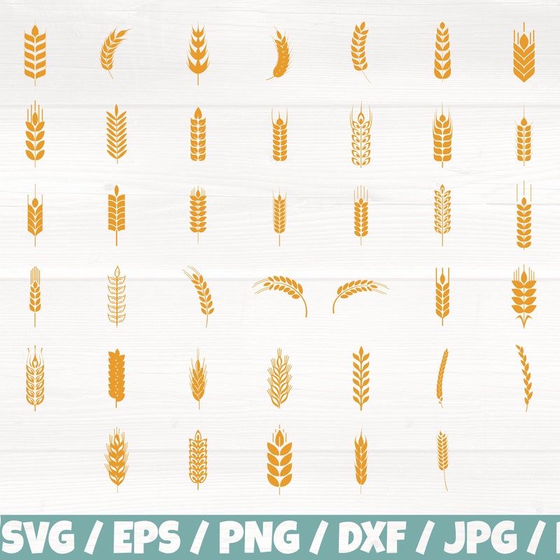 Wheat Svg - Etsy