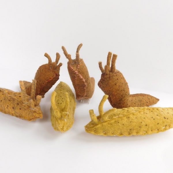 Banana Slug - Etsy