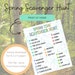 Printable Bundle Spring Bingo Game and Scavenger Hunt, Nature and Park ...