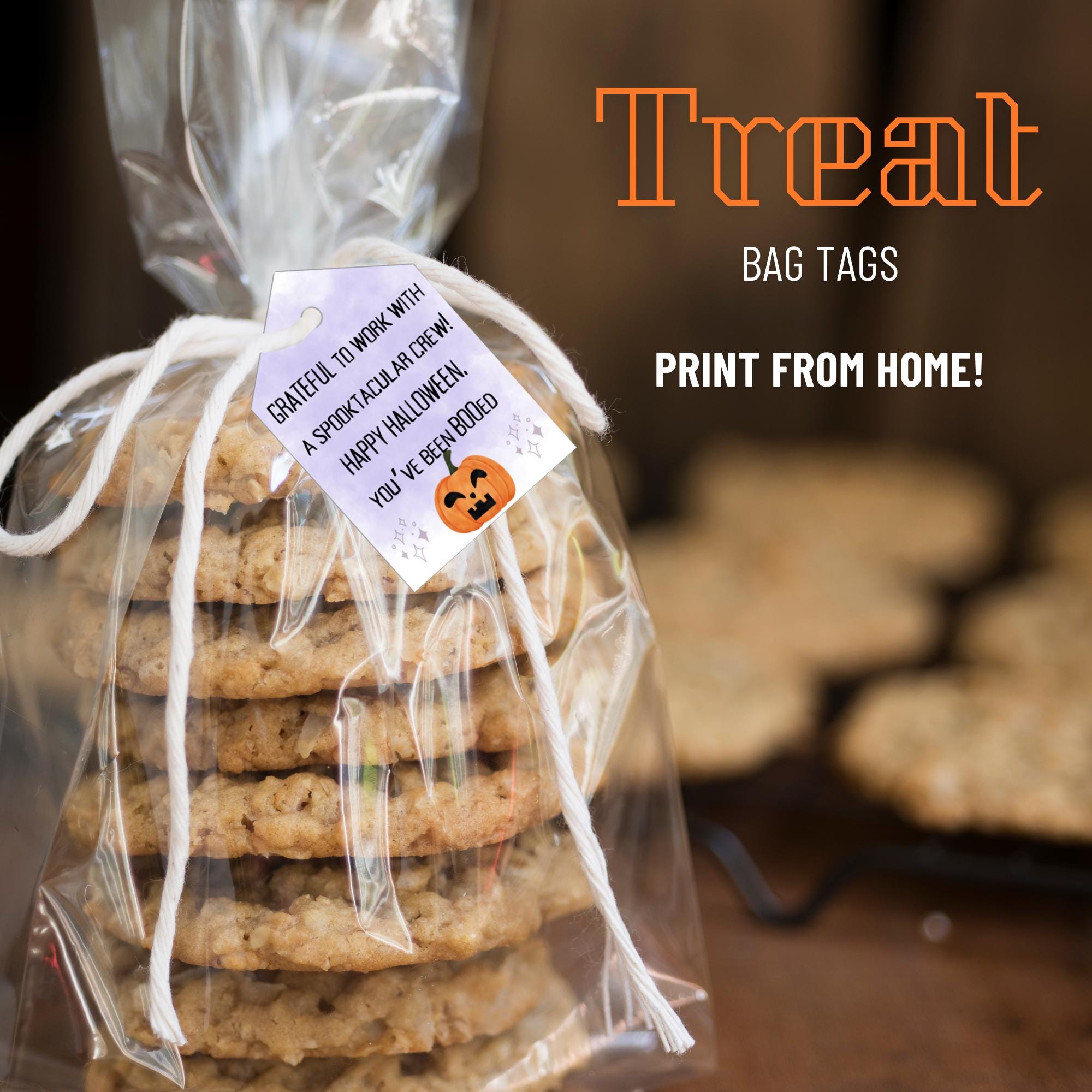 Halloween Gift Tags, Halloween Tags Printable Halloween Treat Tag ...