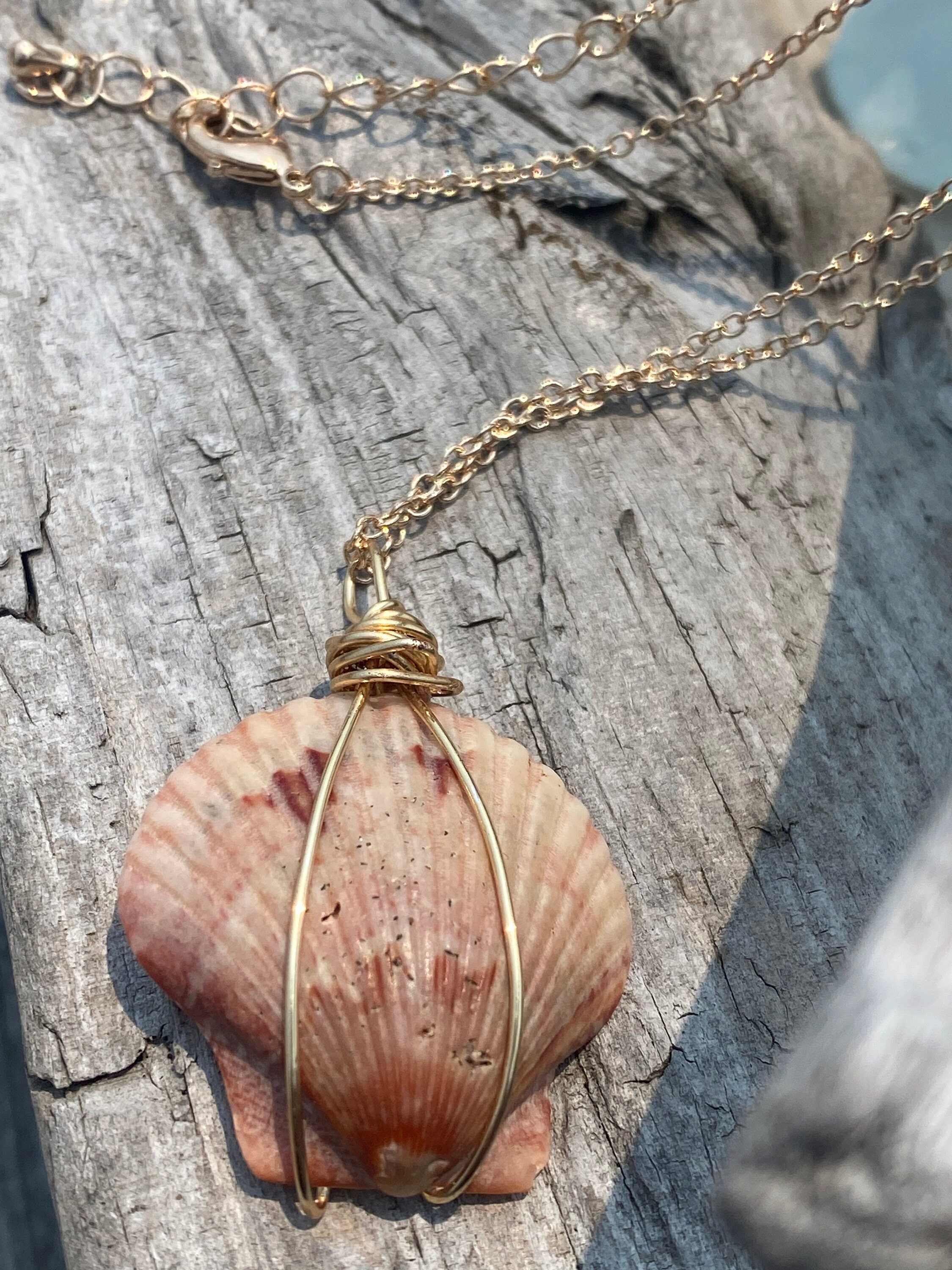 Pink Scallop Shell Necklace - Etsy