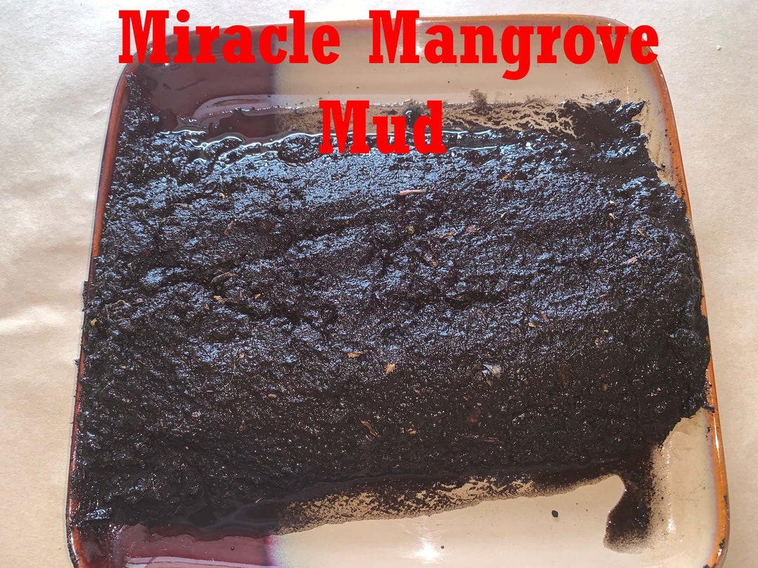5 Lbs Miracle Mineral Mangrove Mud Live Sand Rock Refugium Aquarium ...