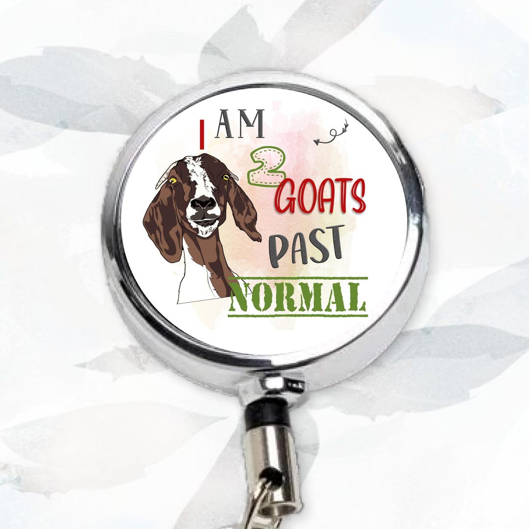 Funny Sarcastic Badge Reel, Humorous ID Holder With Sassy Saying ...