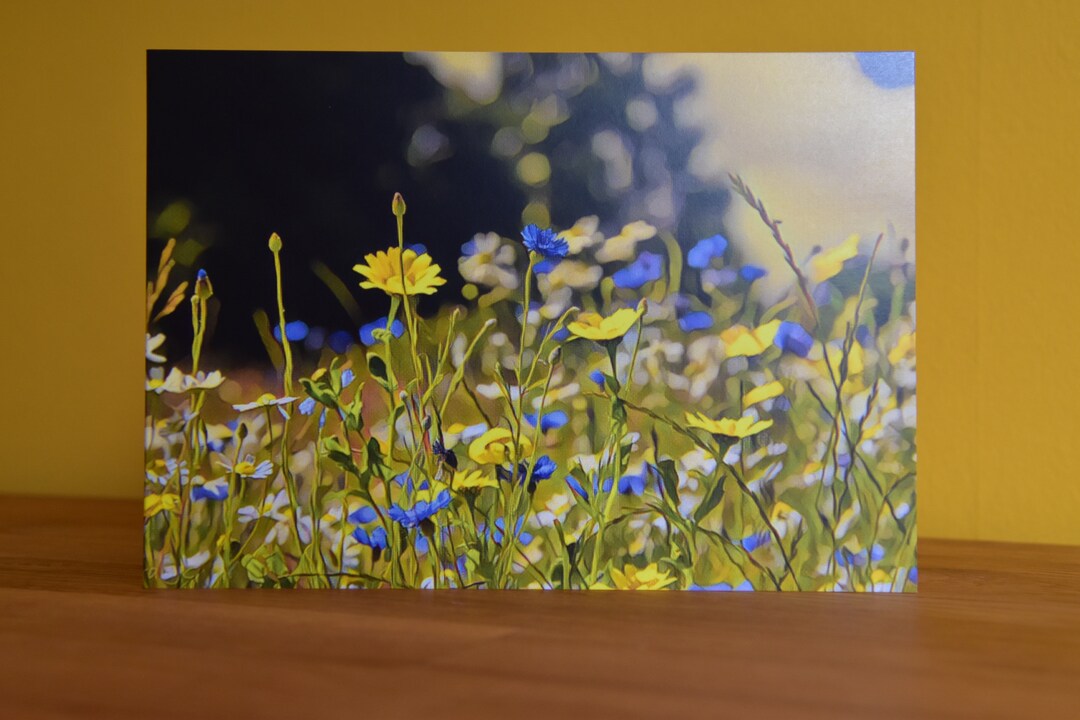 Summer Meadow - Etsy