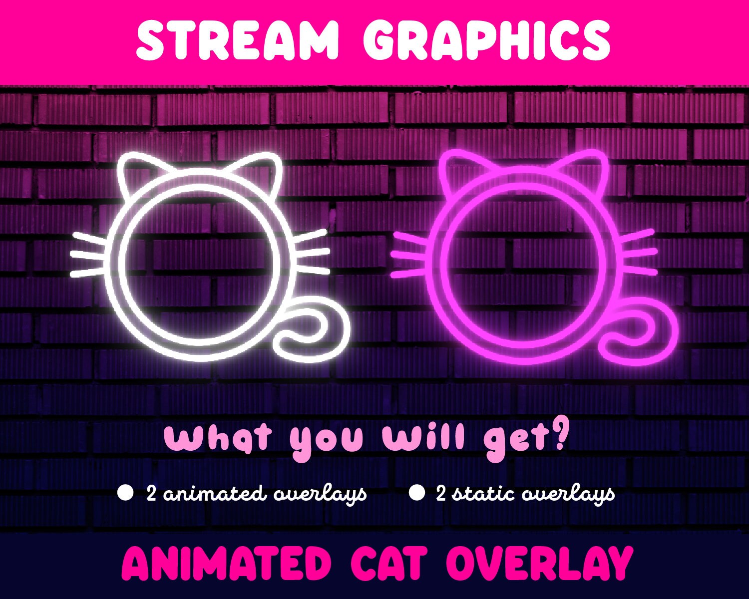 Animated Neon Cat Webcam Overlays for Streaming White Circular Webcam ...