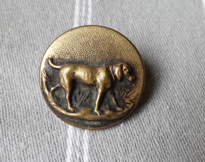 Antique Hunt Uniform Button/hunting Dog Button/picture Button/bird Dog ...