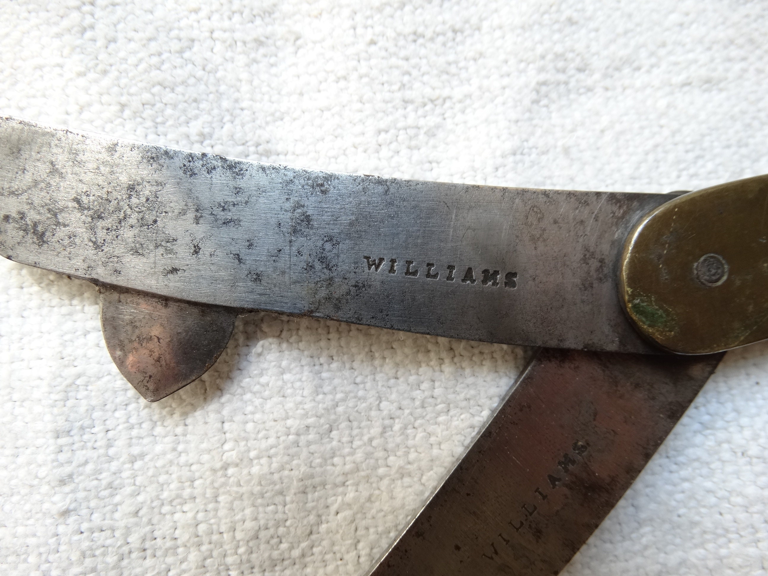 Antique Veterinary Fleam/bloodletting Knife/medical Tool/equine Surgery ...