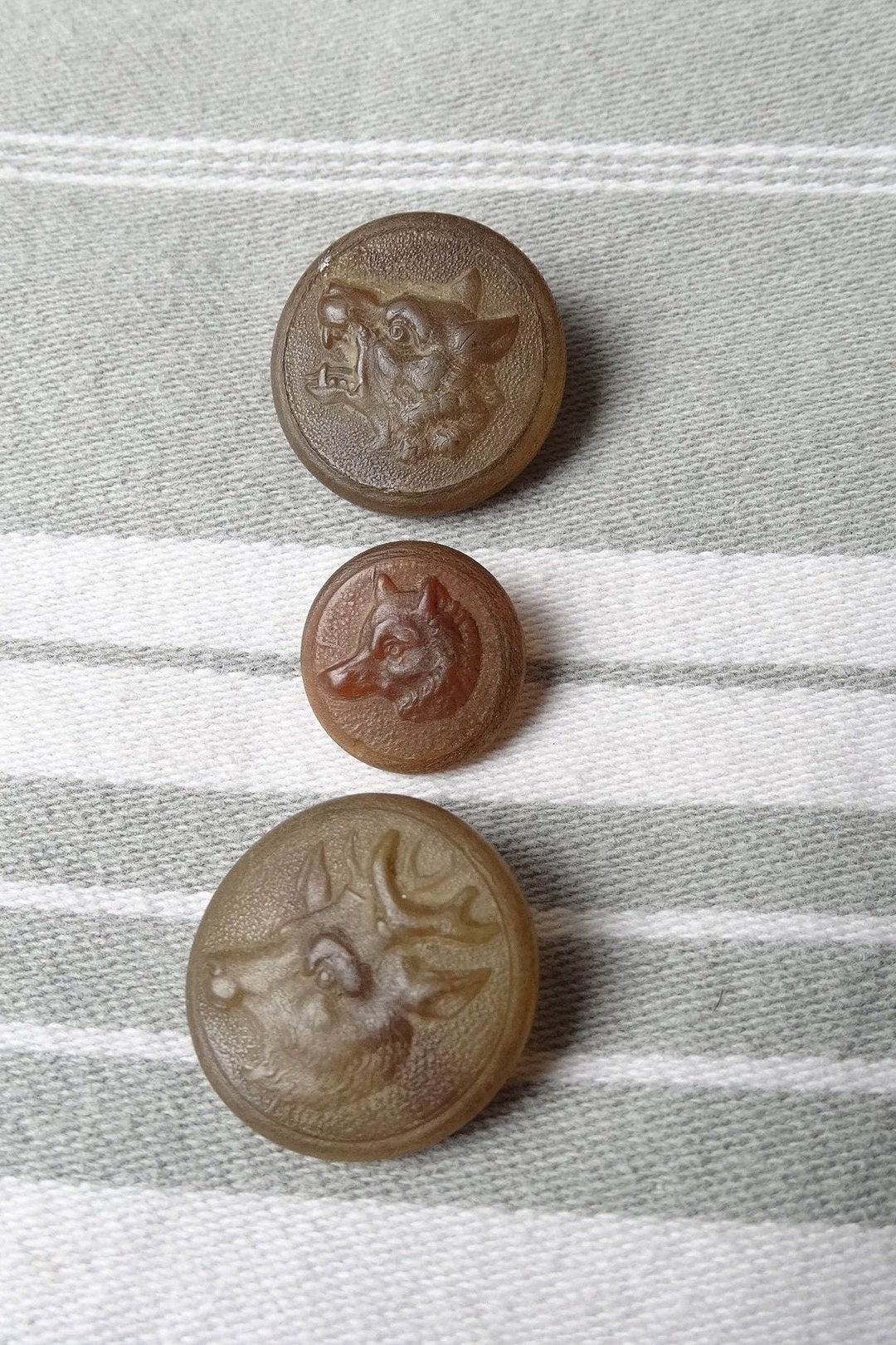 3 C19th Horn Buttons/antique Hunting Buttons/boutons De Venerie/corne ...