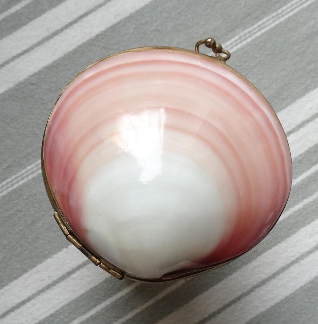 Vintage Clamshell Purse/mermaid Purse/brass Kiss Fastener/shell Coin ...