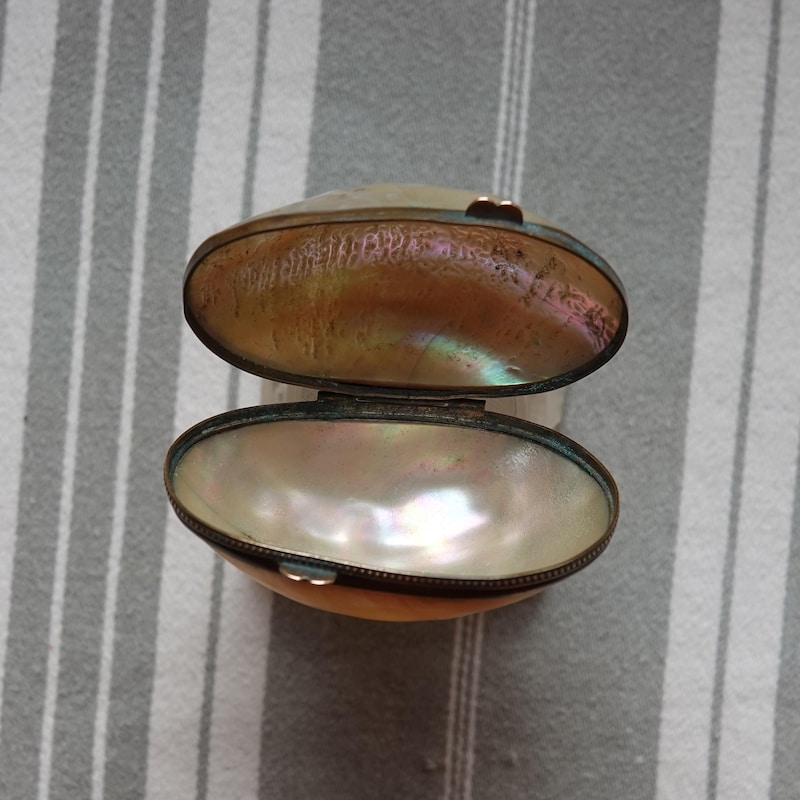 Antique Shell Purse - Etsy