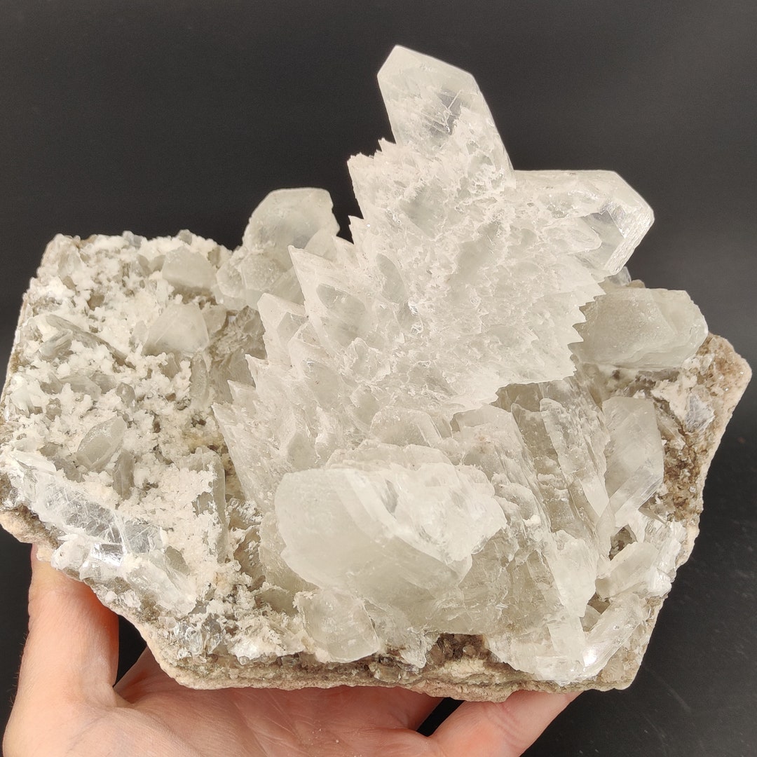 Gypsum fish Tail, Laguna Del Rey, Coahuila, Mexico - Etsy