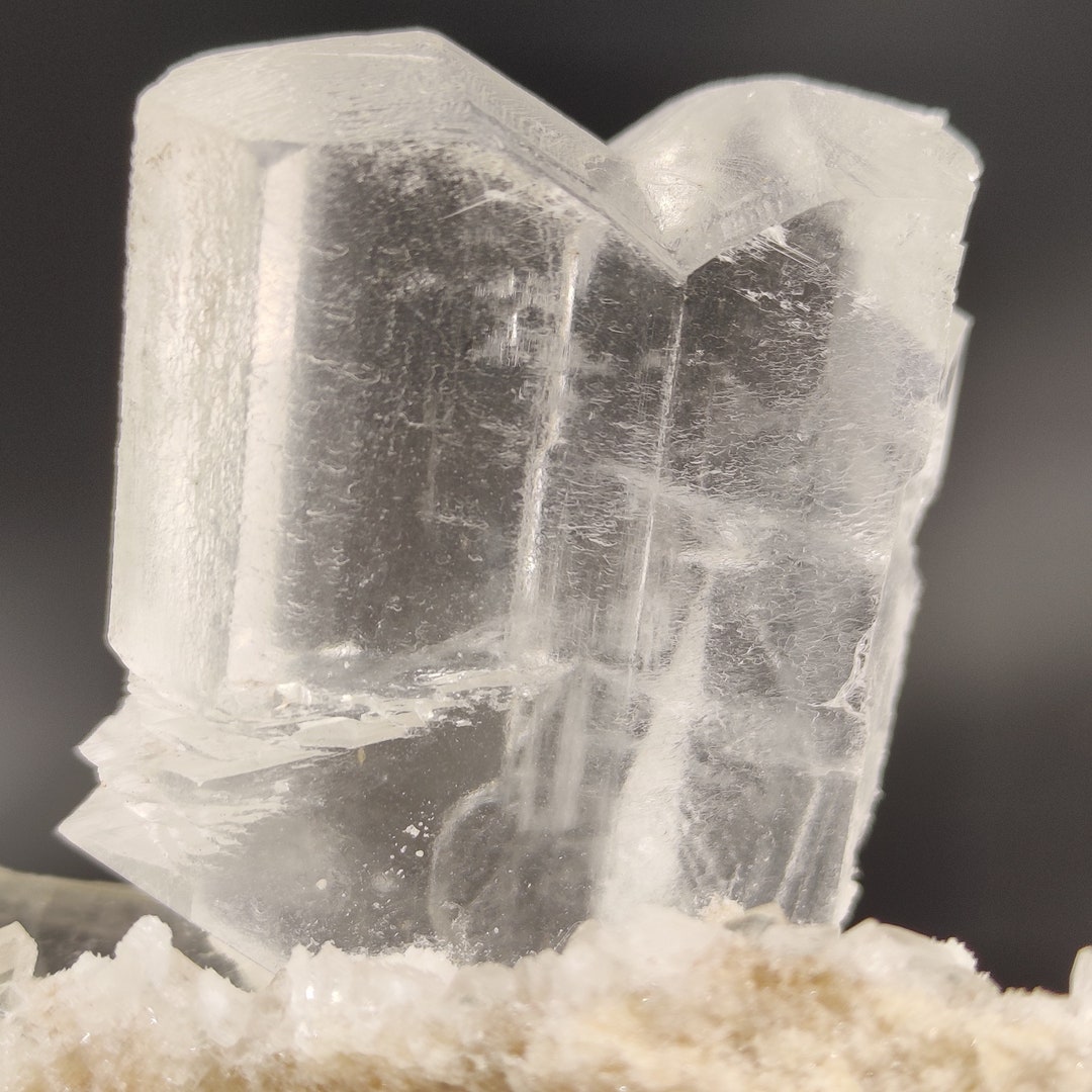 Gypsum fish Tail, Laguna Del Rey, Coahuila, Mexico - Etsy