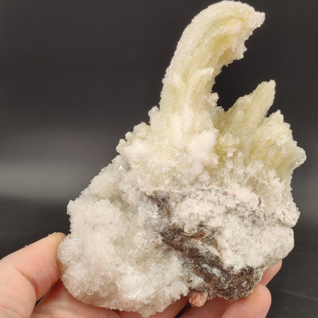 Novacekite in "ram's Horn" Gypsum, Mexico - Etsy