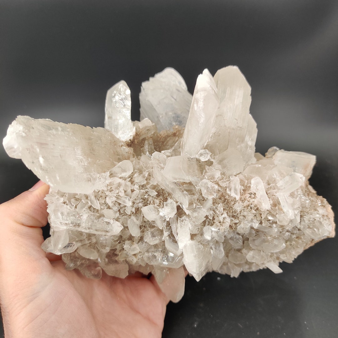 Gypsum fish Tail, Laguna Del Rey, Coahuila, Mexico - Etsy