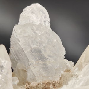 Gypsum fish Tail, Laguna Del Rey, Coahuila, Mexico - Etsy