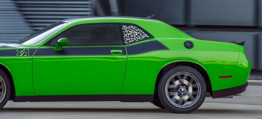 Dodge Challenger Leopard Print Cheetah Window Decals Fits 2008-2023 SRT ...