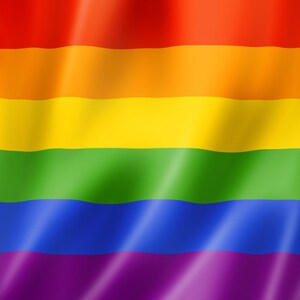 Window Perforated Vinyl Pride LGBTQ Flag See-thru Graphics Fit Jeep ...