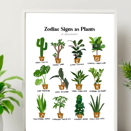 Zodiac Signs as Plants Digital Download - Etsy