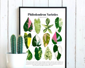 Philodendron Varieties Plant Identification Chart Digital | Etsy