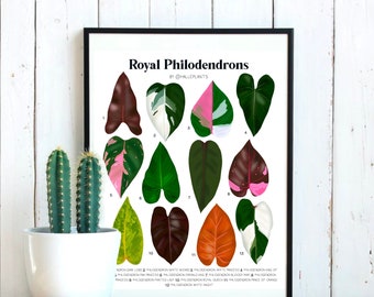 Monstera Varieties Plant Identification Chart Digital | Etsy