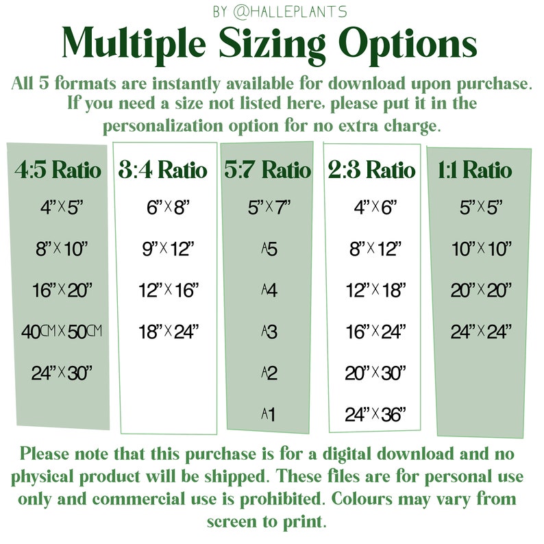 Begonia Varieties Plant Identification Chart Digital - Etsy