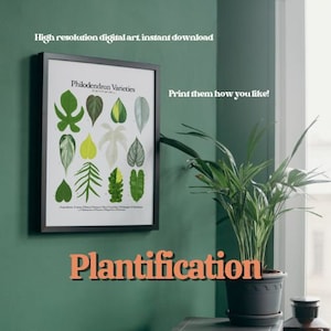 Philodendron Varieties - Plant Identification Chart - Digital Download ...