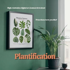 Monstera Varieties - Plant Identification Chart Digital Download - Etsy