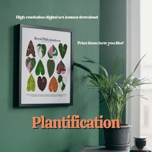 Royal Philodendron Varieties - Plant Identification Chart - Digital ...