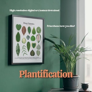 Hoya Varieties - Plant Identification Chart - Digital Download - Etsy