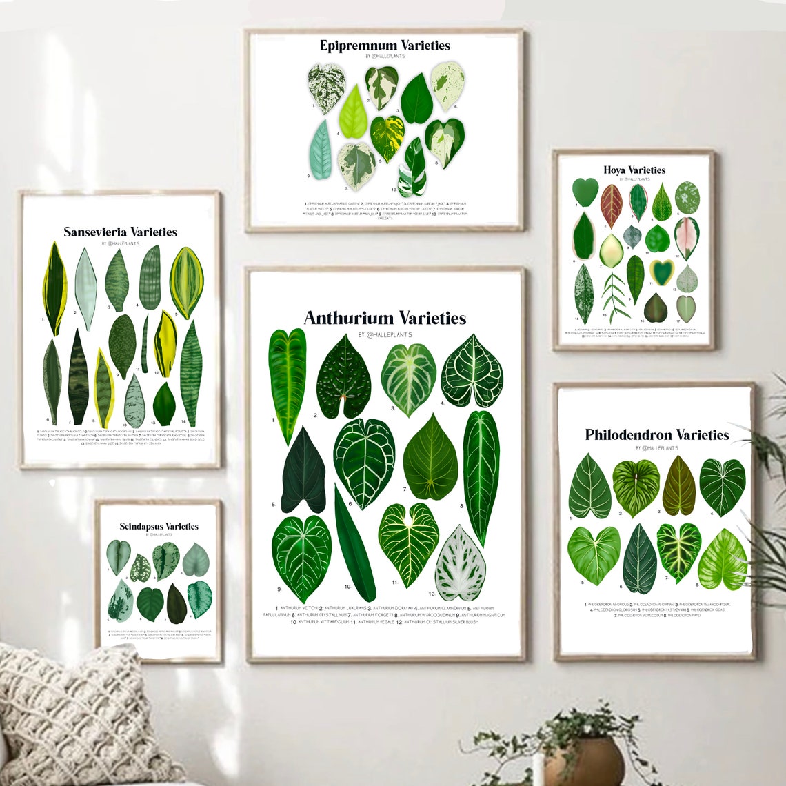 BUNDLE - 16 Plant Identification Charts - Digital Download - Etsy