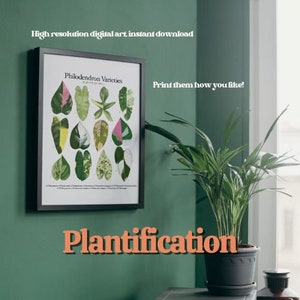 Variegated Philodendron Varieties - Plant Identification Chart ...