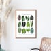 Alocasia Varieties - Plant Identification Chart - Digital Download - Etsy