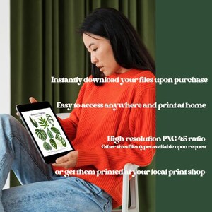 Monstera Varieties - Plant Identification Chart Digital Download - Etsy