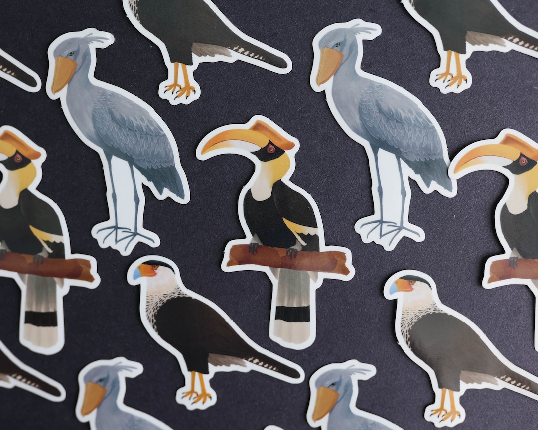 Tropical Birds Clear Sticker Pack | Great Hornbill, Shoebill Stork ...