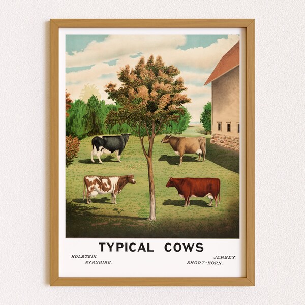 Vintage Cattle Poster - Etsy