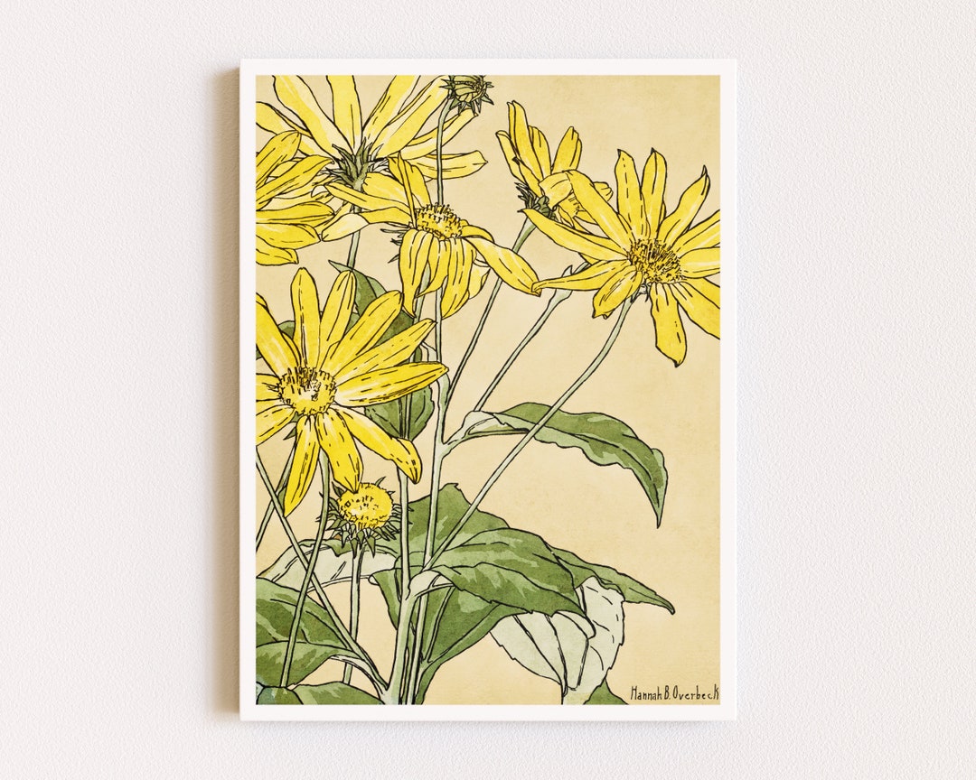 Downloadable Prints | Wildflower Print | Vintage Botanical Illustration ...