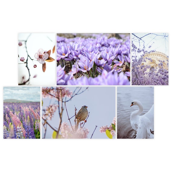 Certificado® Premium Poster Set Primavera - Etsy México