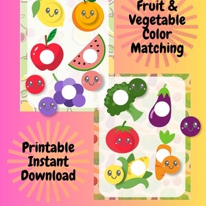 Color Matching Educational Worksheets Homeschool File Folder Game ...