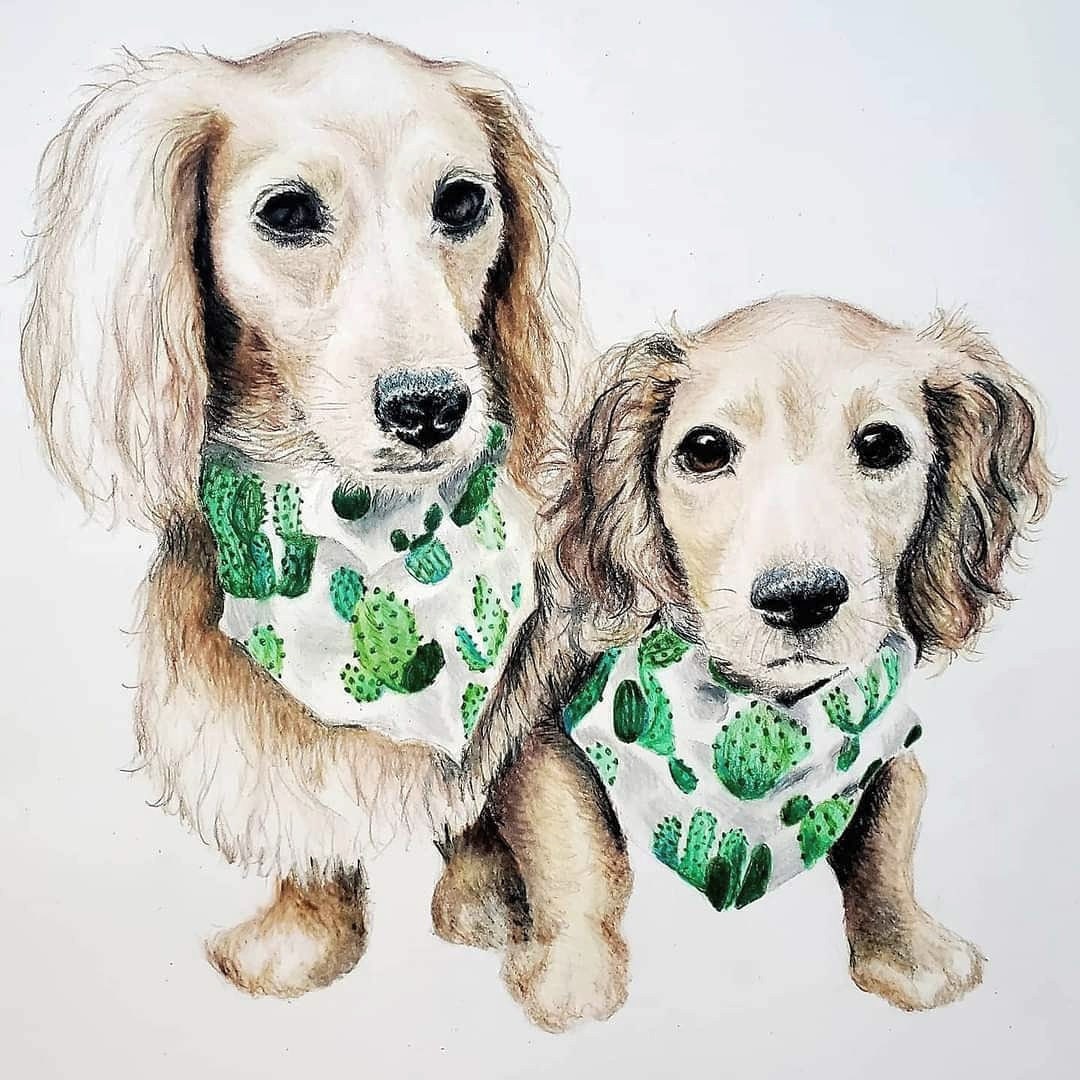 Hand Drawn Pet Portrait, Two Animals - Etsy