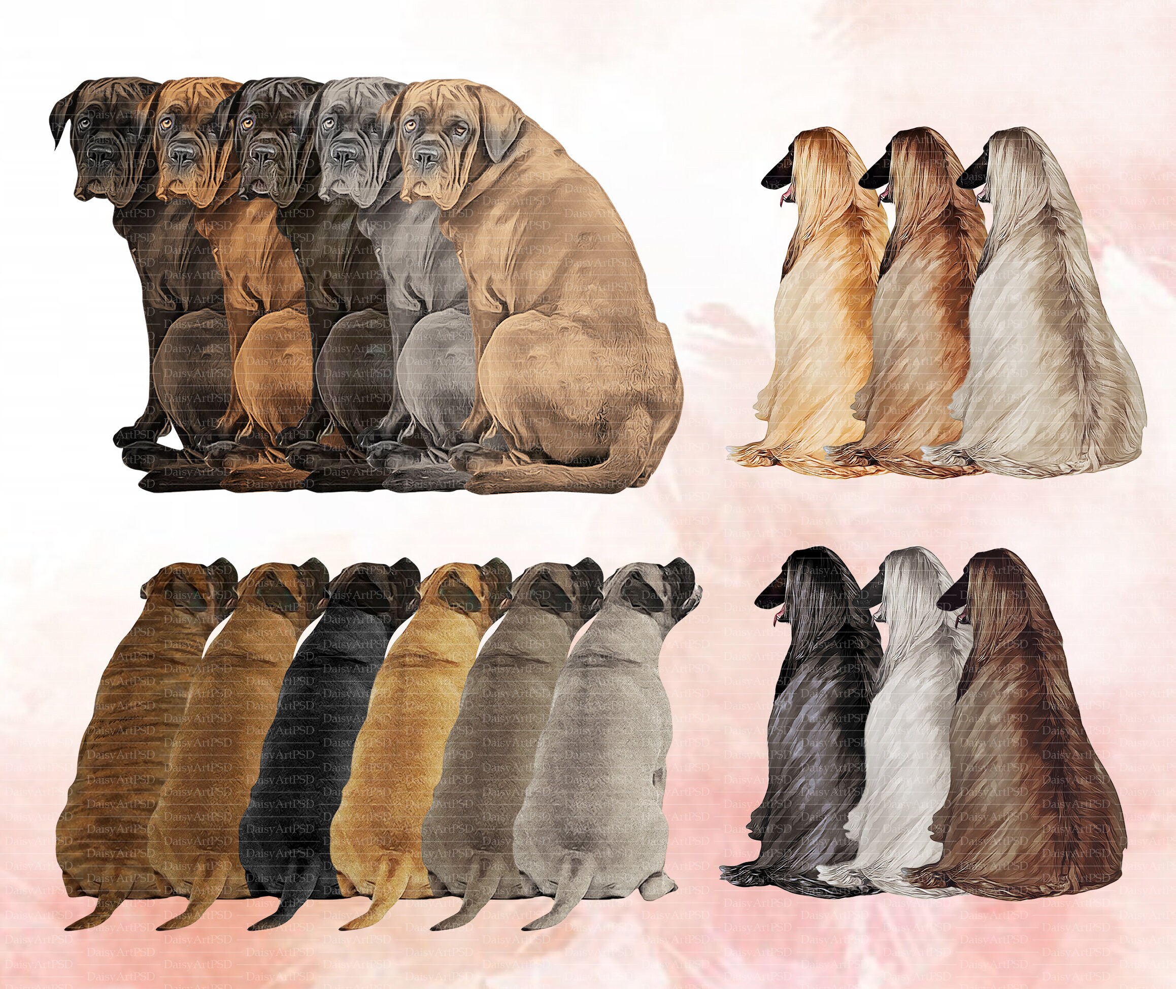 Dog Breeds Clipart dogs CLIPART PETS 01 - Etsy