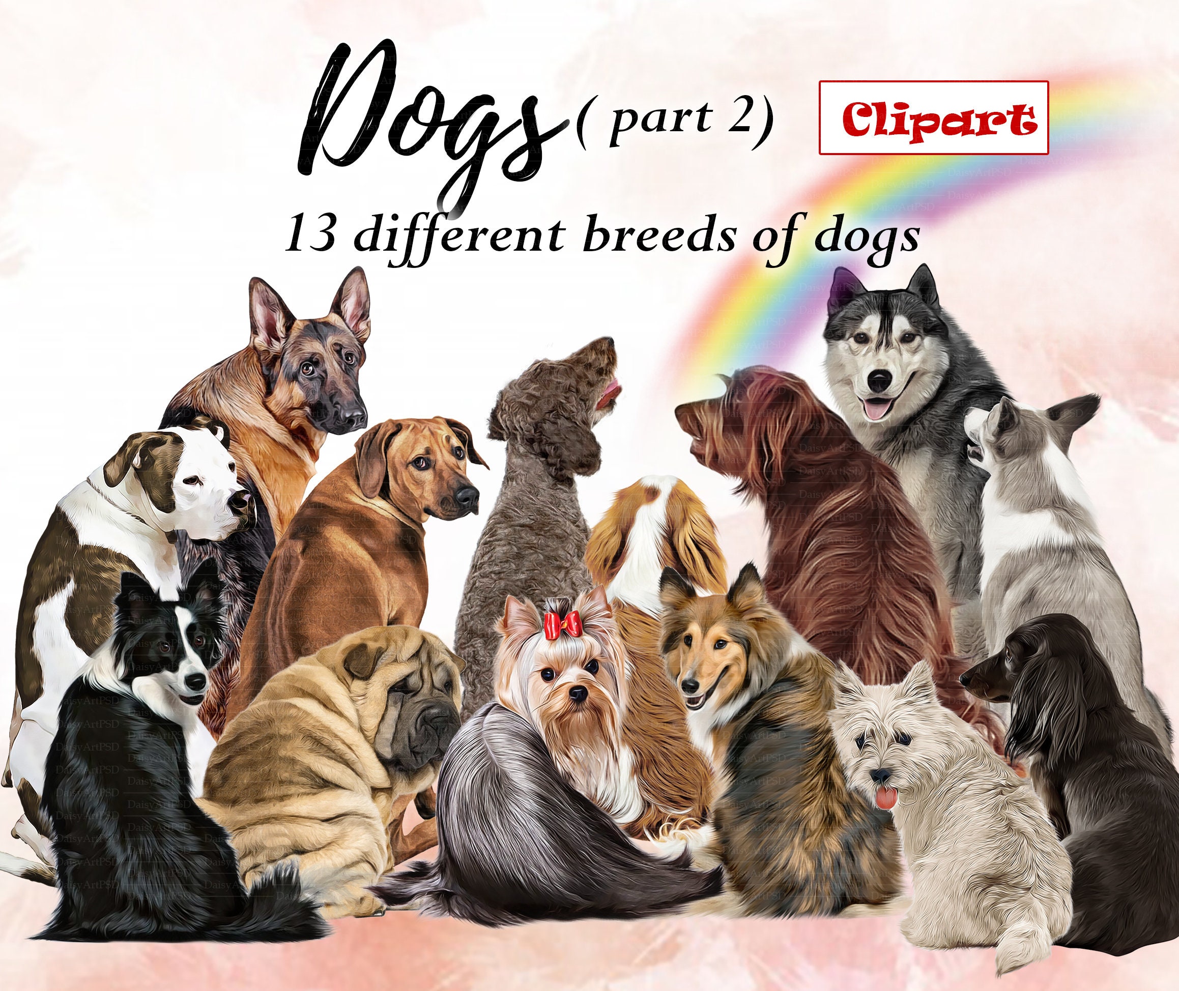 Dog Breeds Clipart DOGS CLIPART PETS 02 | Etsy