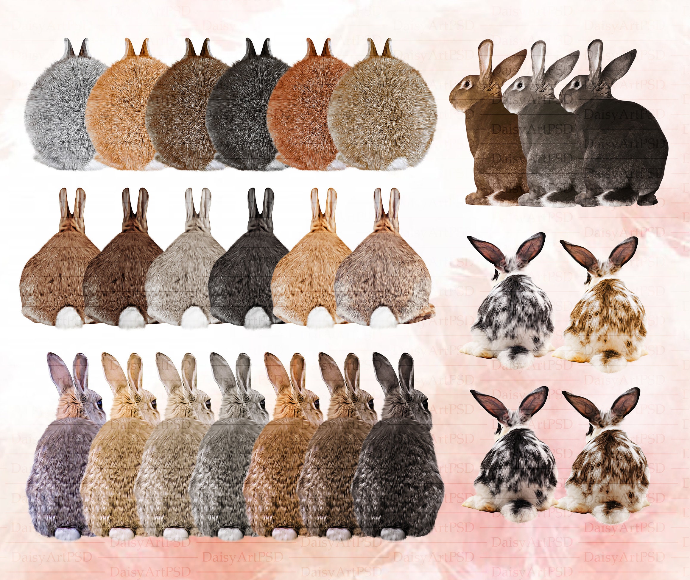 Rabbits Clip Art Cute Pet Clipart Fluffy Pets Colorful - Etsy