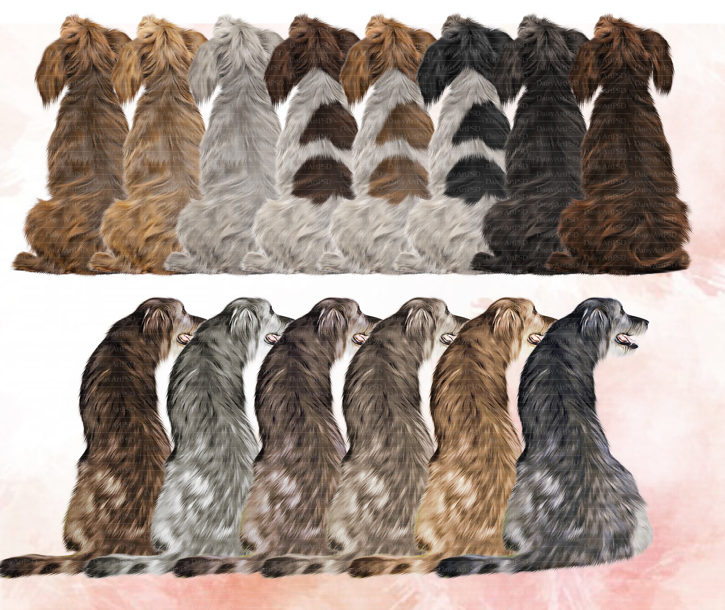 Dog Breeds Clipart dogs CLIPART PETS 06 | Etsy