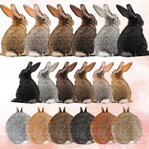 Rabbits Clip Art, Cute Pet Clipart, Fluffy Pets, Colorful Bunnies ...