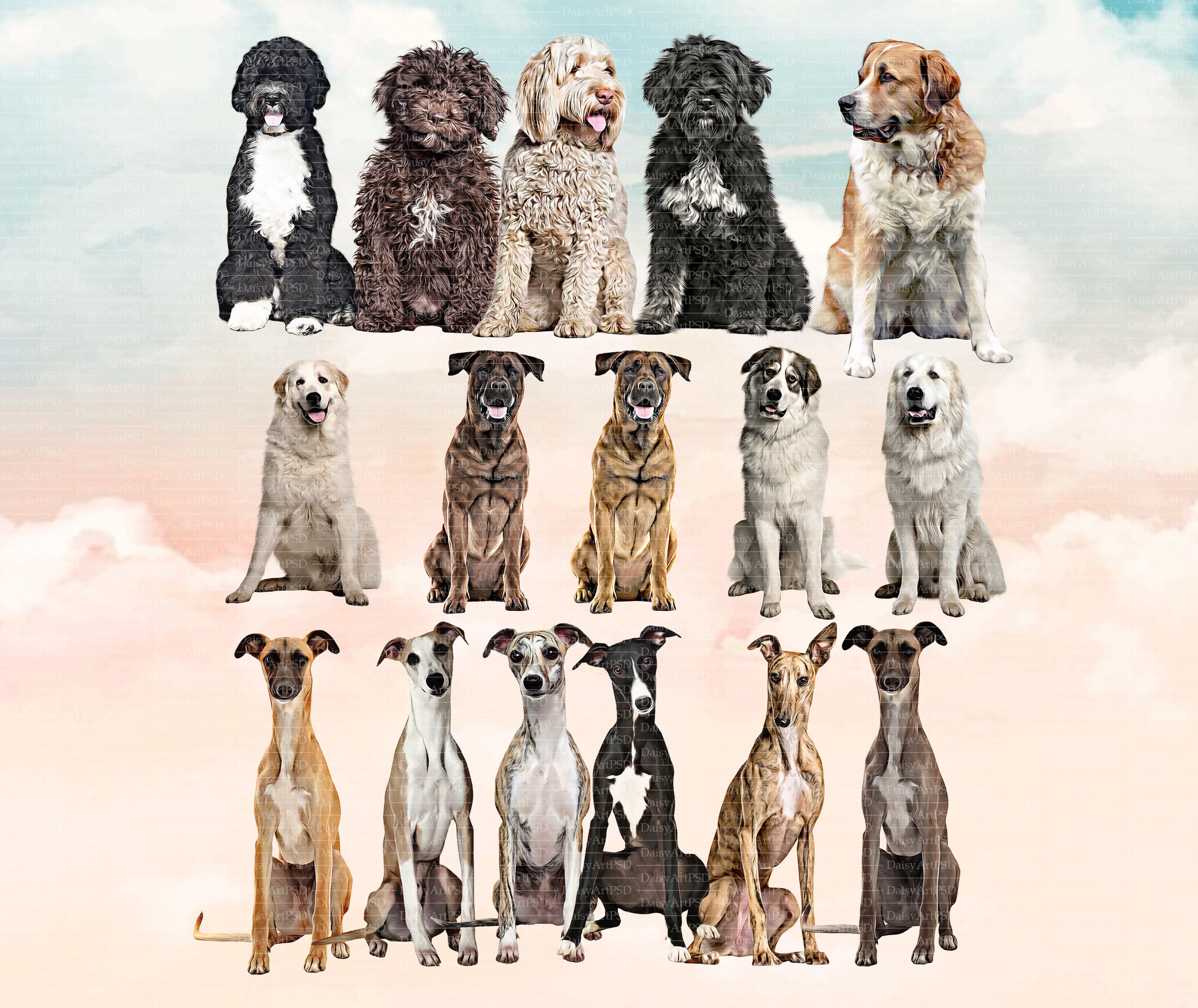 Dog Breeds Sitting in Front Clipart dogs CLIPART 06 - Etsy Australia