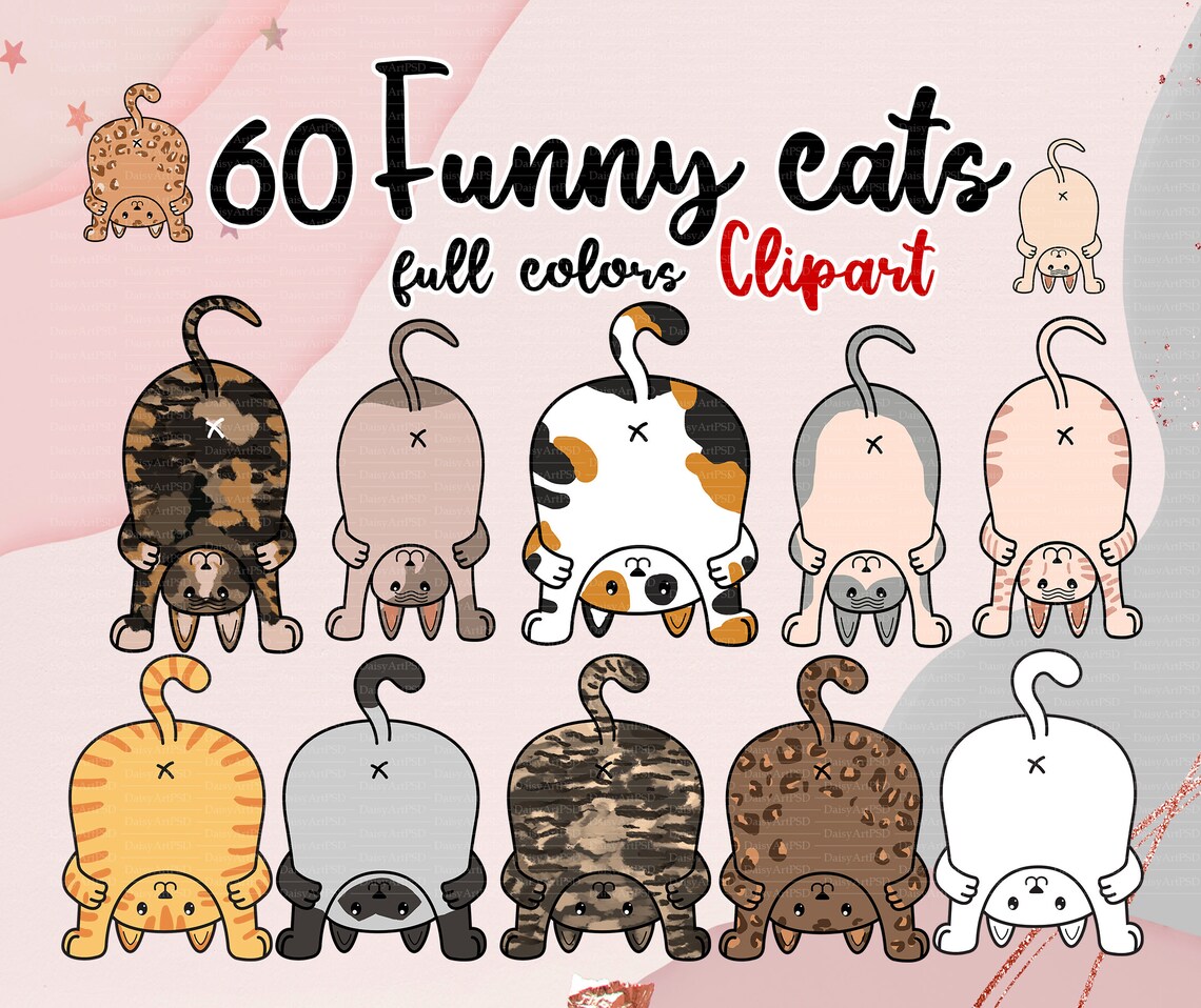 Cats Clipart funny Cats. Pet Clipart Full - Etsy