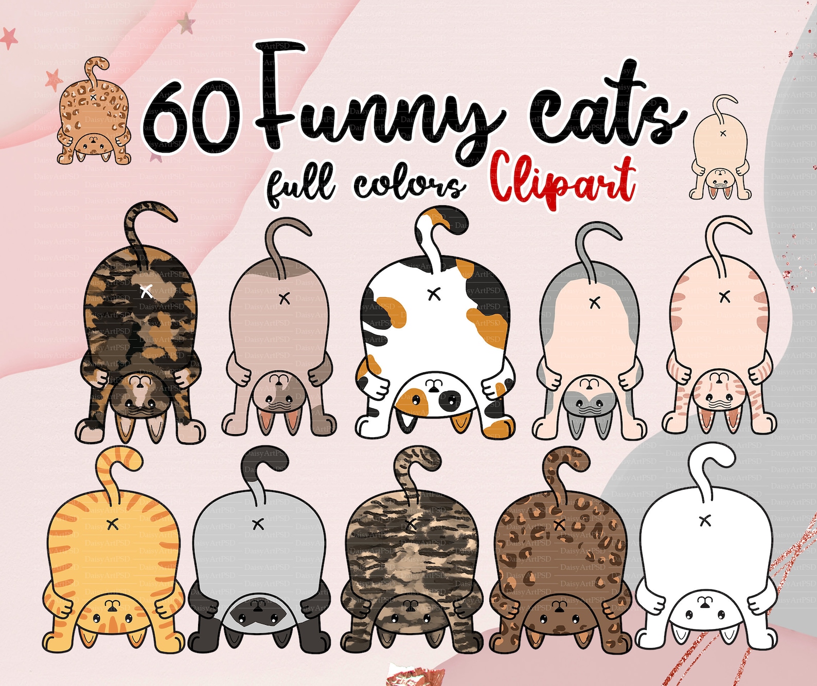 Funny Cats Clipart: Full Color Pet Illustrations (PNG) - Etsy