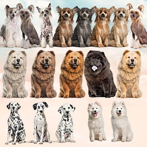 Dog Breeds Sitting in Front Clipart dogs CLIPART 05 | Etsy