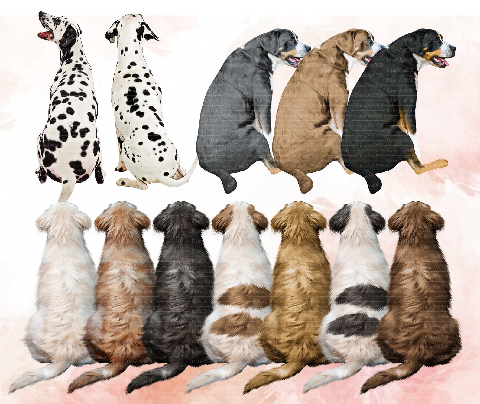 Dog Breeds Clipart dogs CLIPART PETS 06 | Etsy