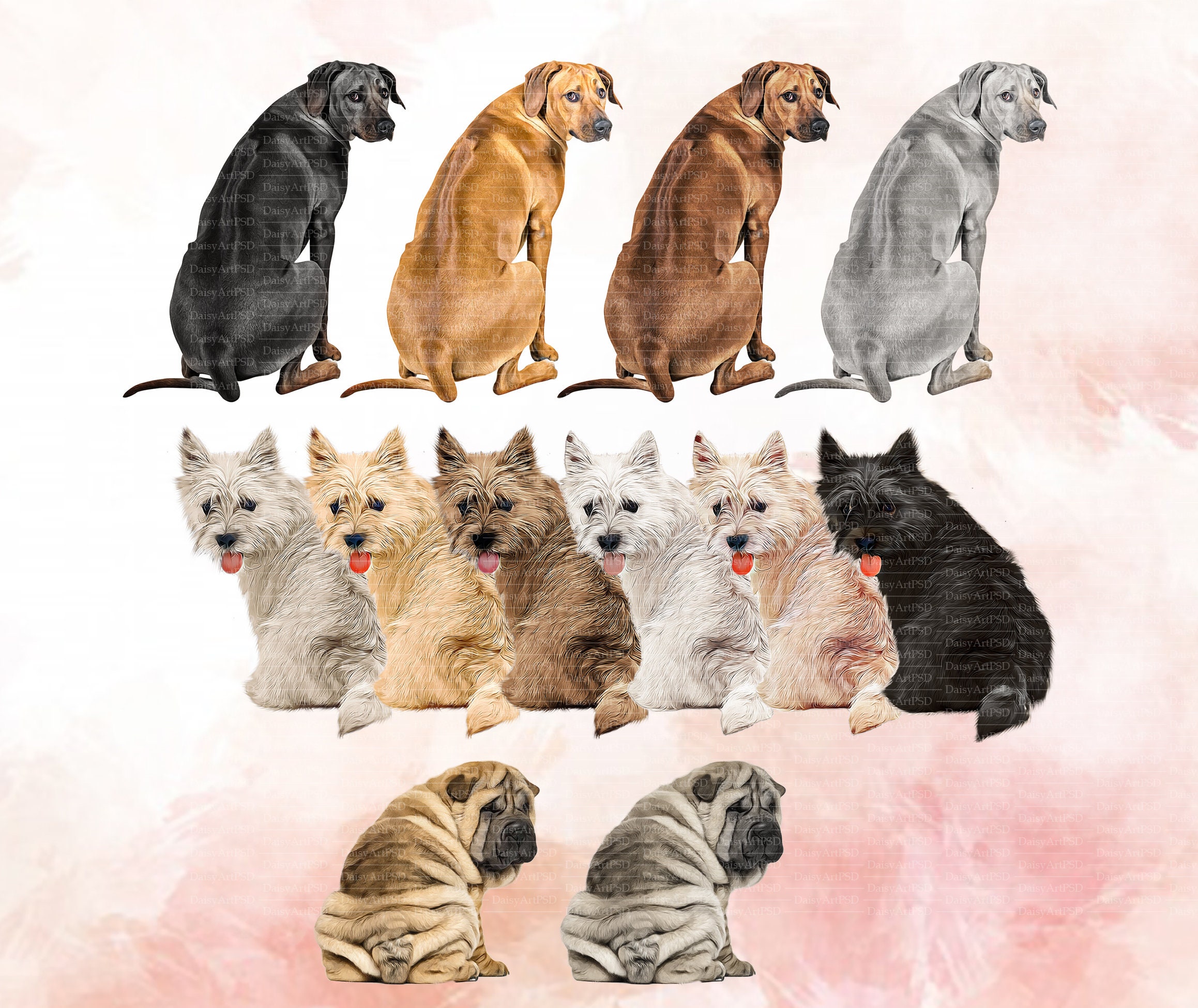 Dog Breeds Clipart DOGS CLIPART PETS 02 | Etsy